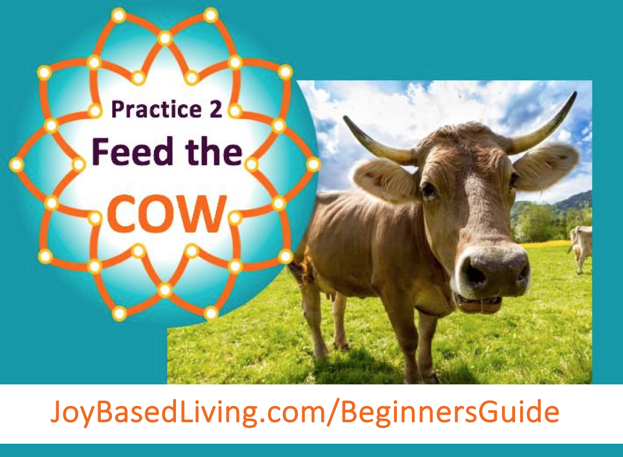 Embody Honor: Feed the COW - Joy Based Living