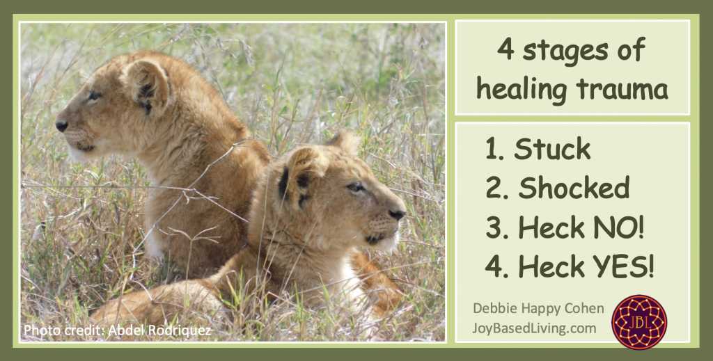 4 stages of trauma - how to move through them with your lion cubs ...