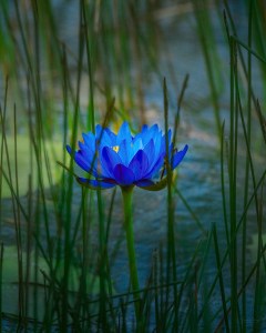 IN 2024, BE A TIME MANAGEMENT GENIUS - Defeat Naughty Ninja #6 with ...